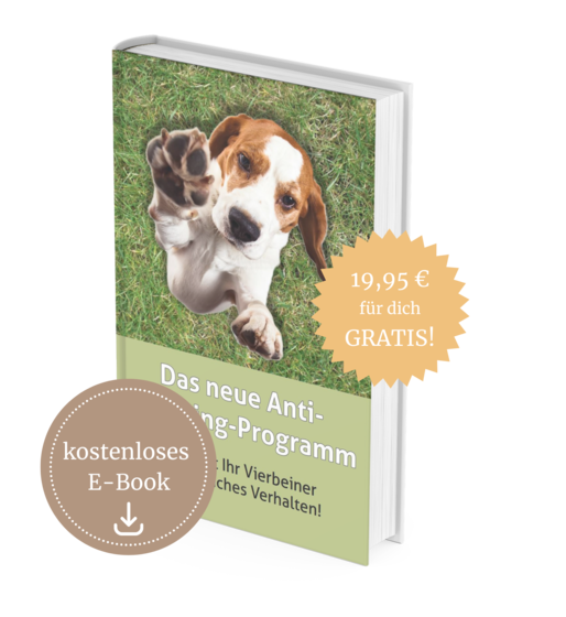 Anspringen abgewöhnen