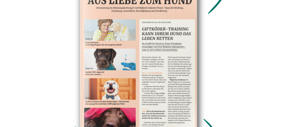 Anspringen abgewöhnen