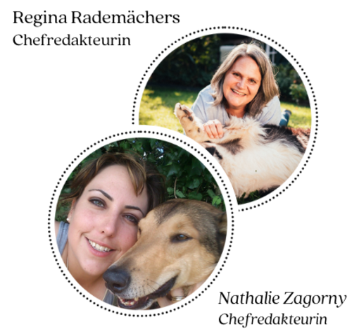 Anspringen abgewöhnen