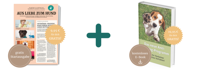 Anspringen abgewöhnen