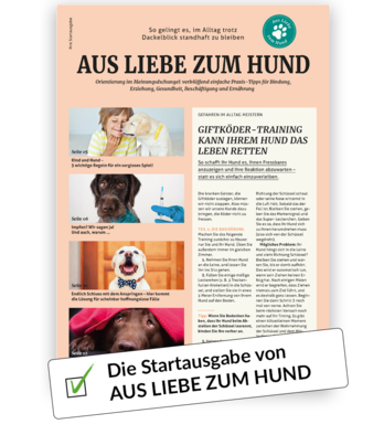 Anspringen abgewöhnen