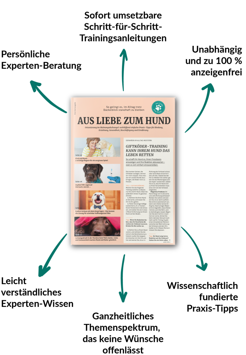 Anspringen abgewöhnen